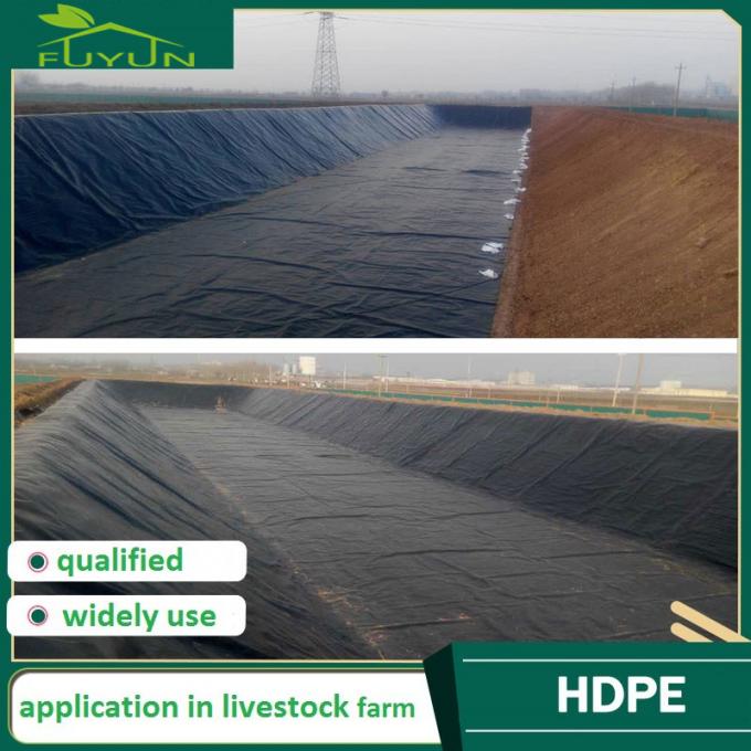 Smooth Seepage Control 1.5mm Geotech Fabric LDPE Fish Pond Liner