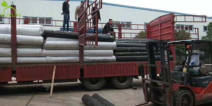 Plastic 20mm Erosion Control Geomat Geo Cell Grass Protection Project