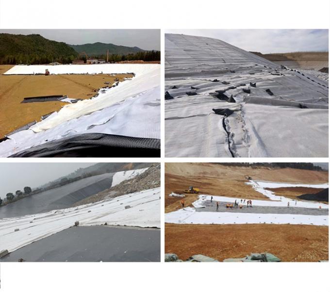 Non Woven Fabric Drainage Geocomposite