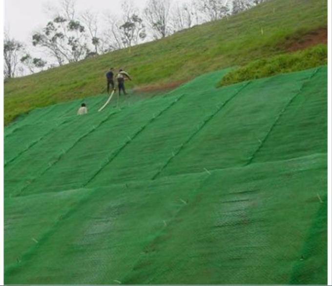 Slope Greening Plastic 10mm Geomat Retaining Wall Erosion Control