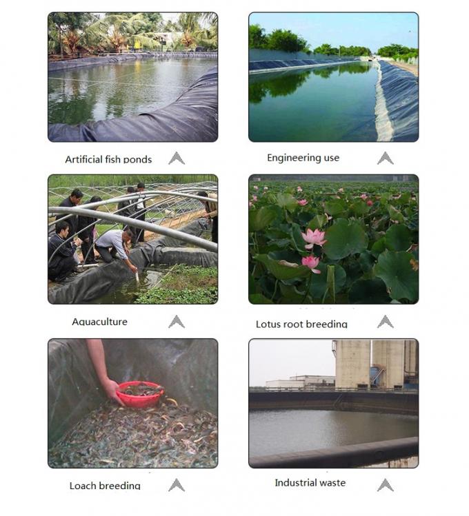 Aquaculture 1.5mm Geomembrane Fabric Hdpe Dam Liners Seepage Control