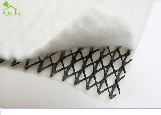 Quality Geotech Fabric & Geomembrane Fabric factory from China